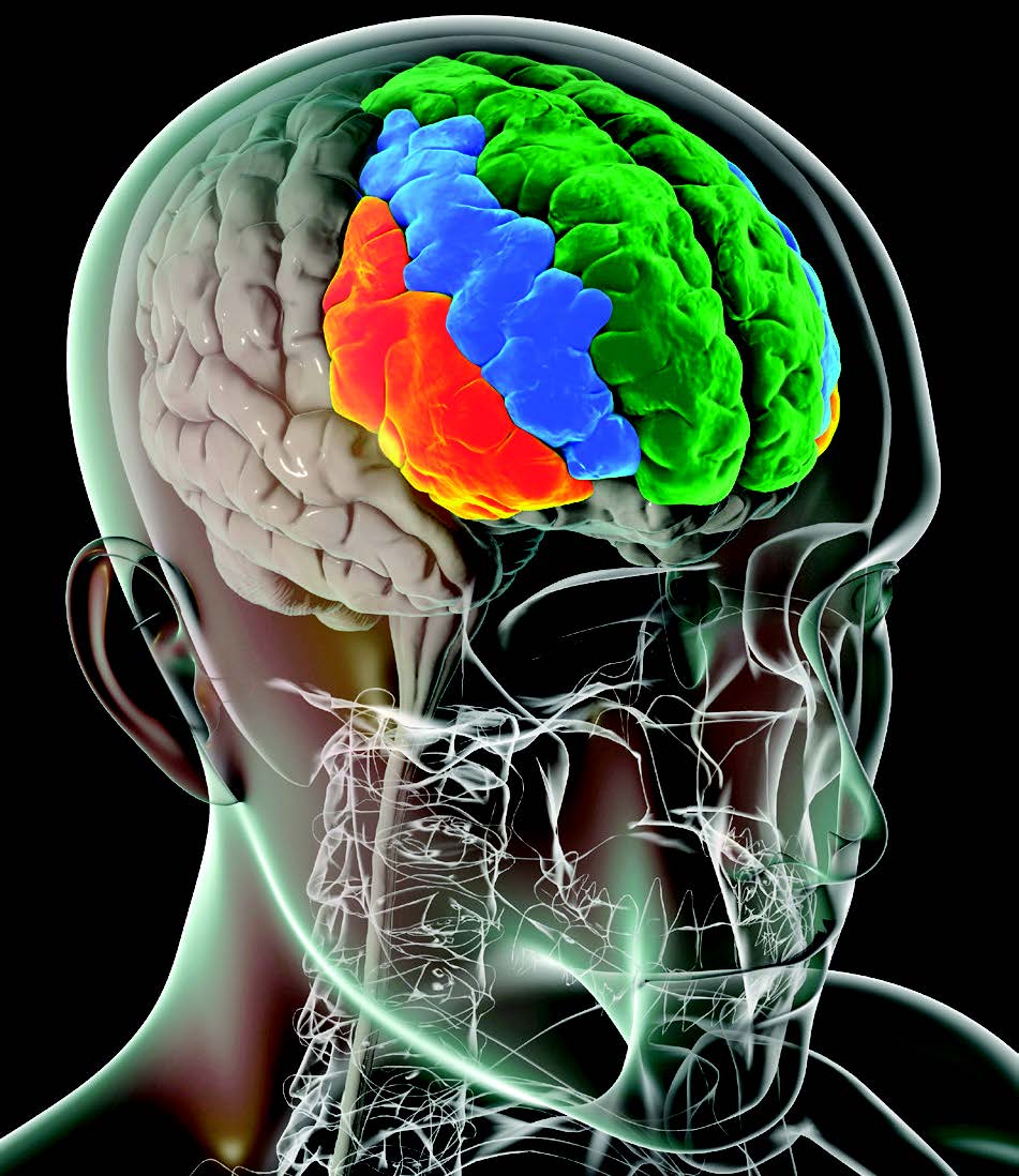 Executive Functions